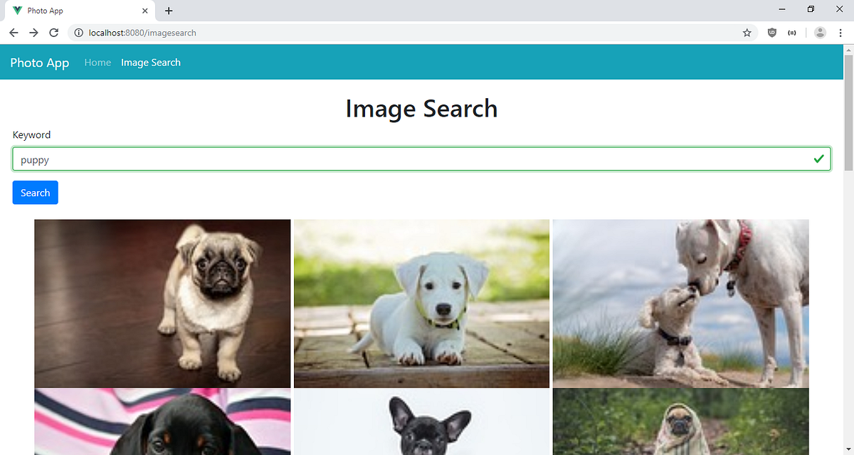 Display Images like Google and Flickr with Vue.js | by John Au-Yeung | Level Up Coding