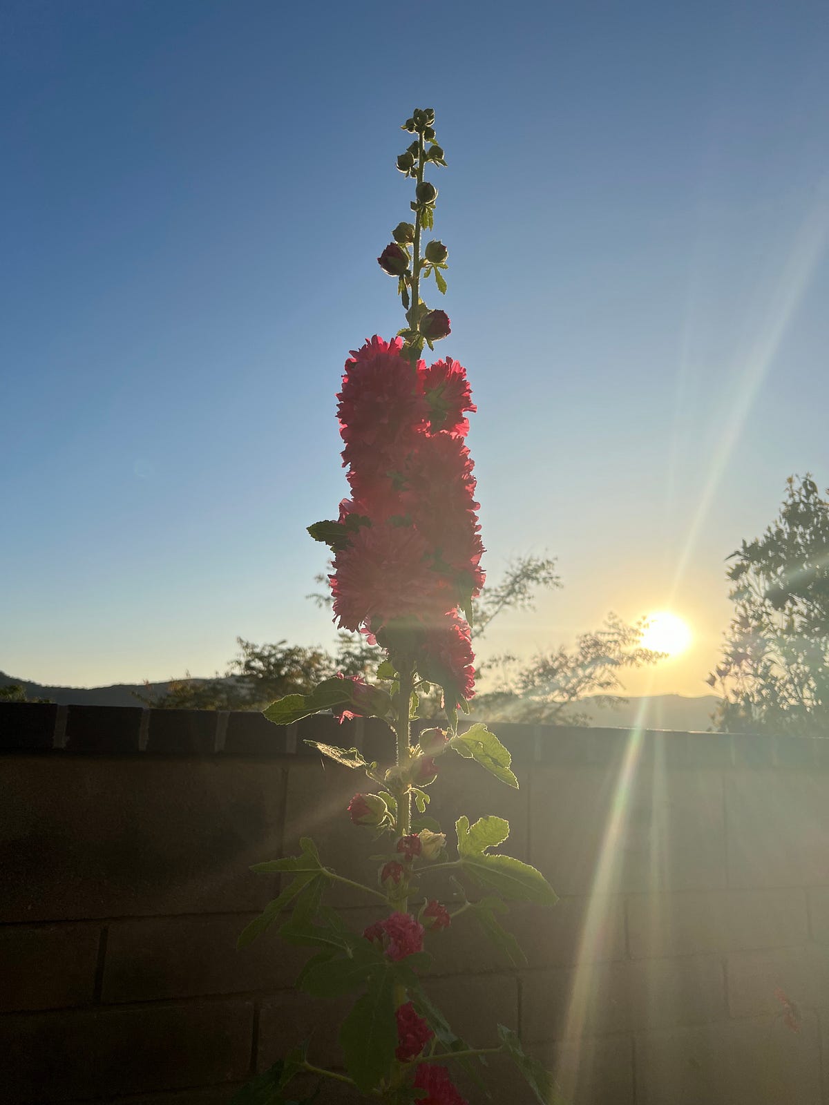 Weather Watching As Mindfulness Practice! | by Dr. Seema Patel (PhD ...