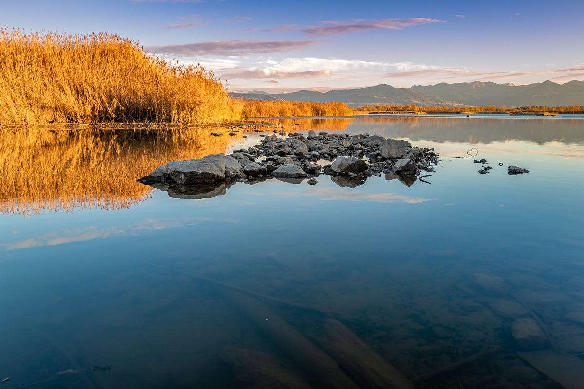 Gerenciando o seu Delta Lake. Delta Lake é um sistema de… | by DataLakers Tecnologia | Blog ...