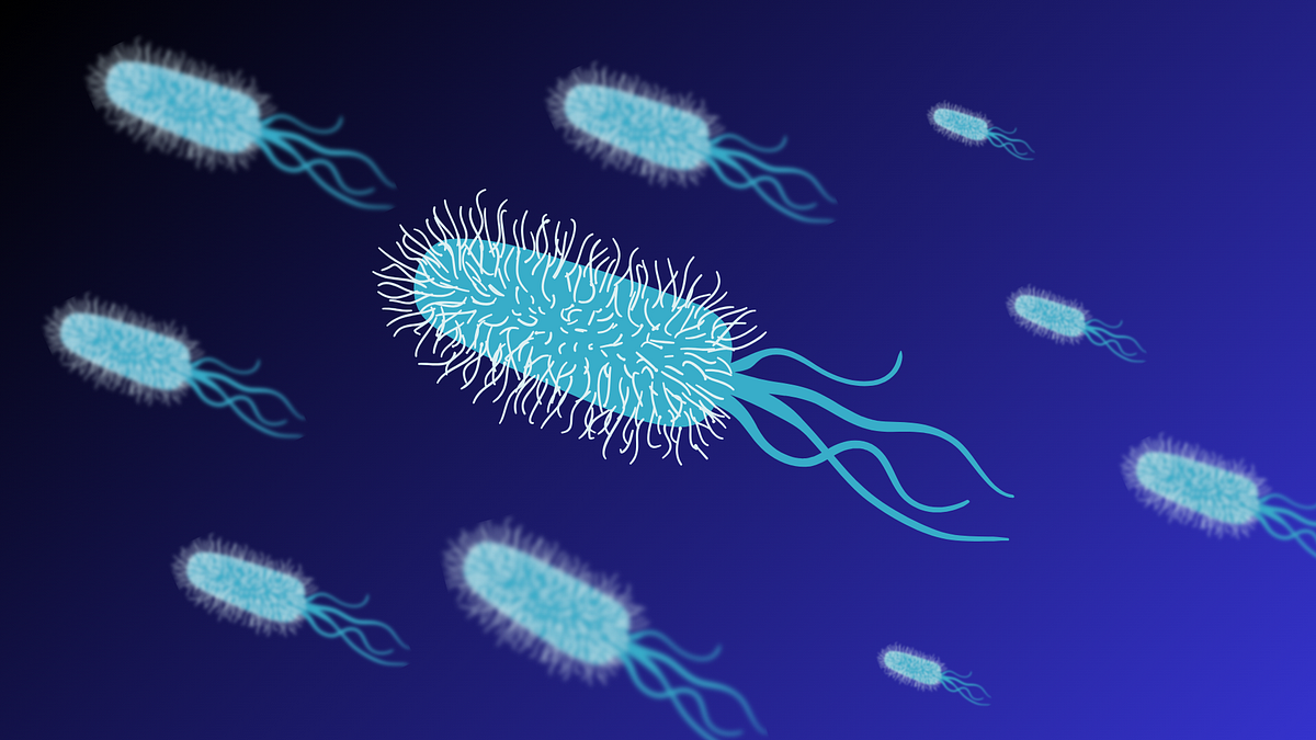 All You Need to Know About Escherichia coli (E. coli) | by Microbiology ...