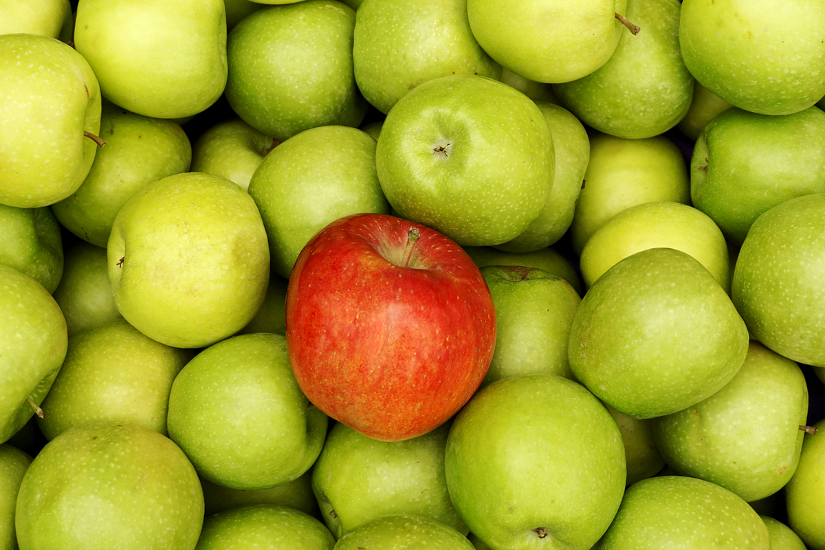 We All Want to Be Individual, Yet We’re All Becoming the Same | by ...