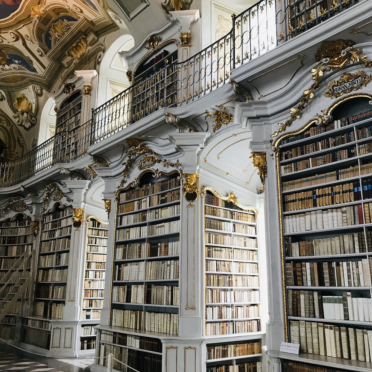 We Can’t Wait Any Longer. Another Open Letter to Austria’s… | by Tanja Maier | Medium