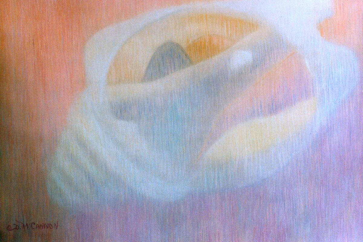 “Shell Fragment: Feathered Tapestry” - DonnaKazo - Medium