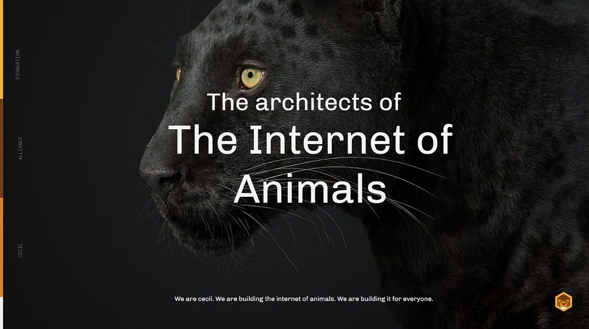 The Internet of Animals. The Grand Vision at the Heart of Cecil… | by ...