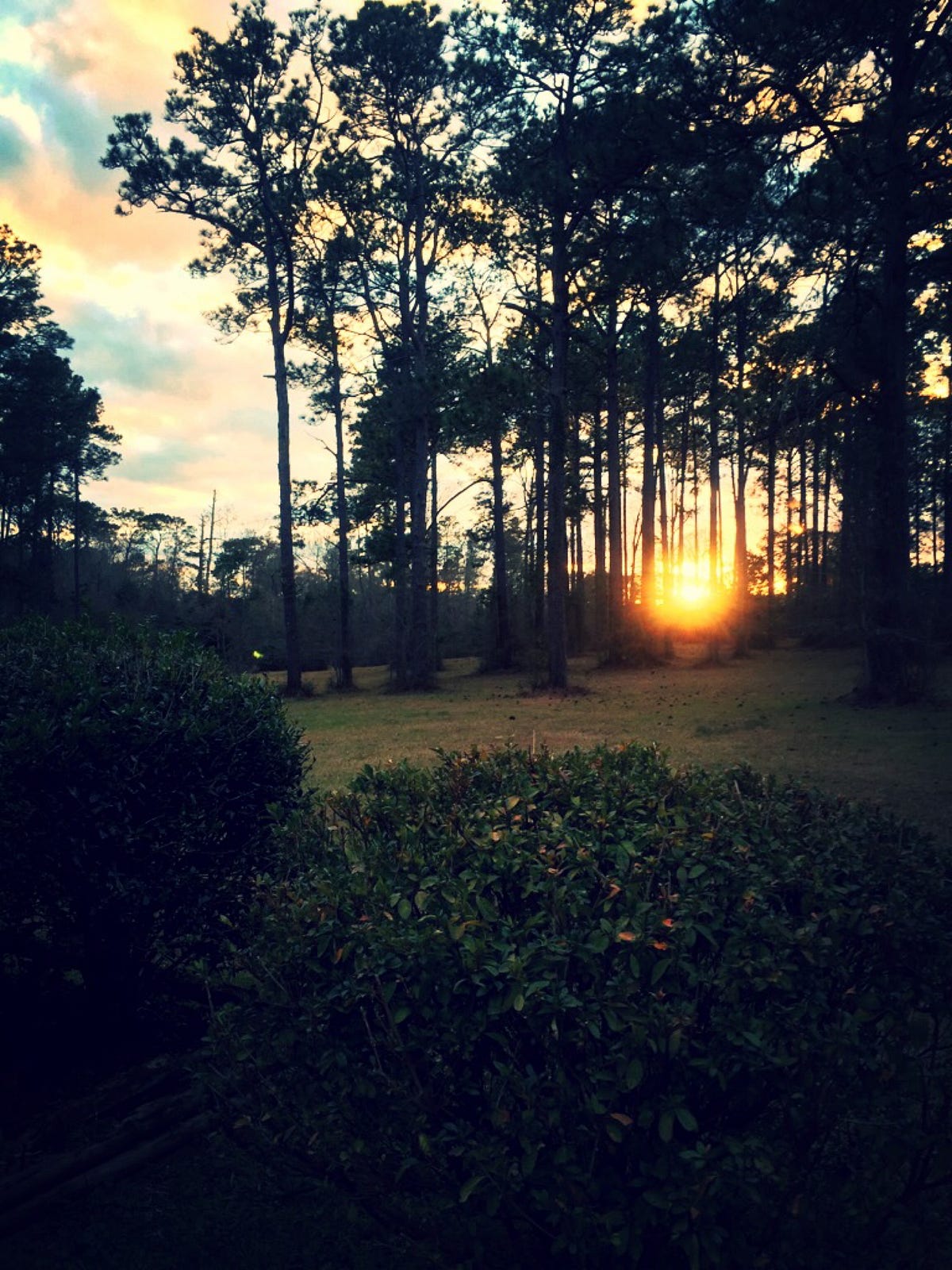 An Open Letter to Our Home, Mississippi | by Cory Cooley | Medium