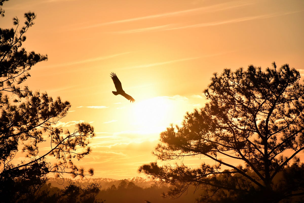 Be the Leader Others Admire. 5 skills highly effective leaders use ...