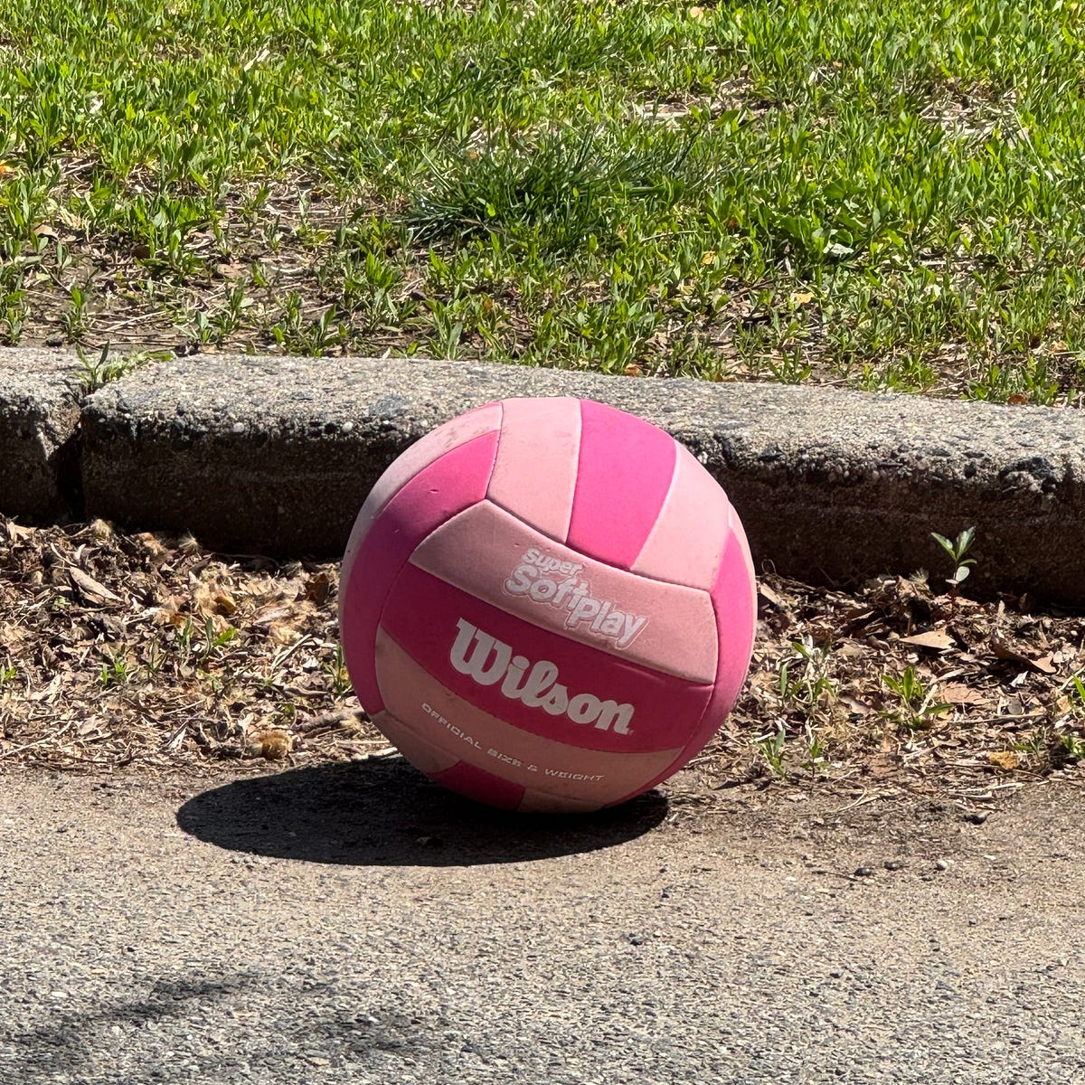 The Pink Volleyball. I didn’t plan for this day to be… | by Aayushi ...