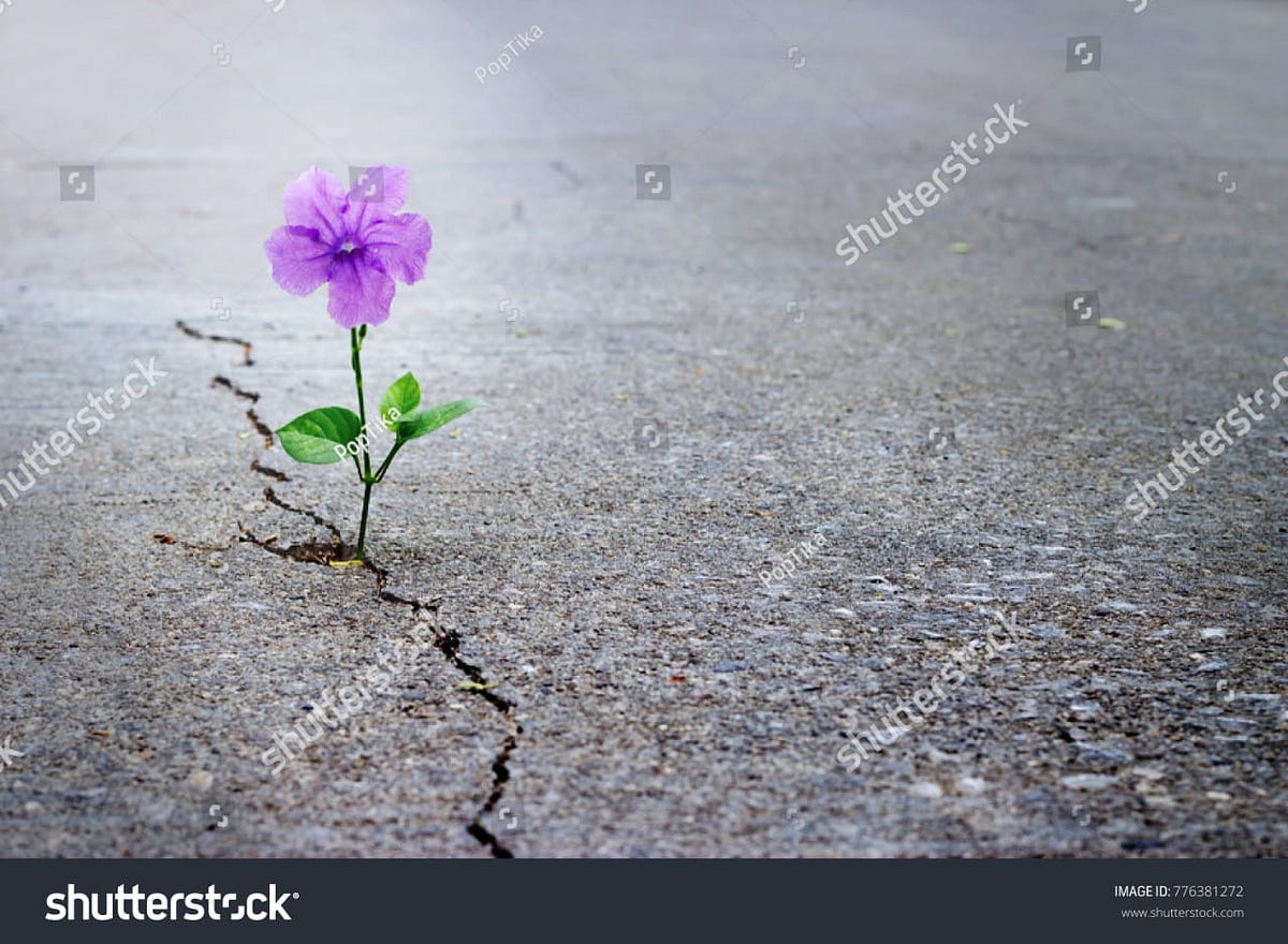 HOW I LEARNED PYTHON TWICE: THE MISTAKES I MADE AND HOW I FIXED THEM | by Abigailsylvie | Medium