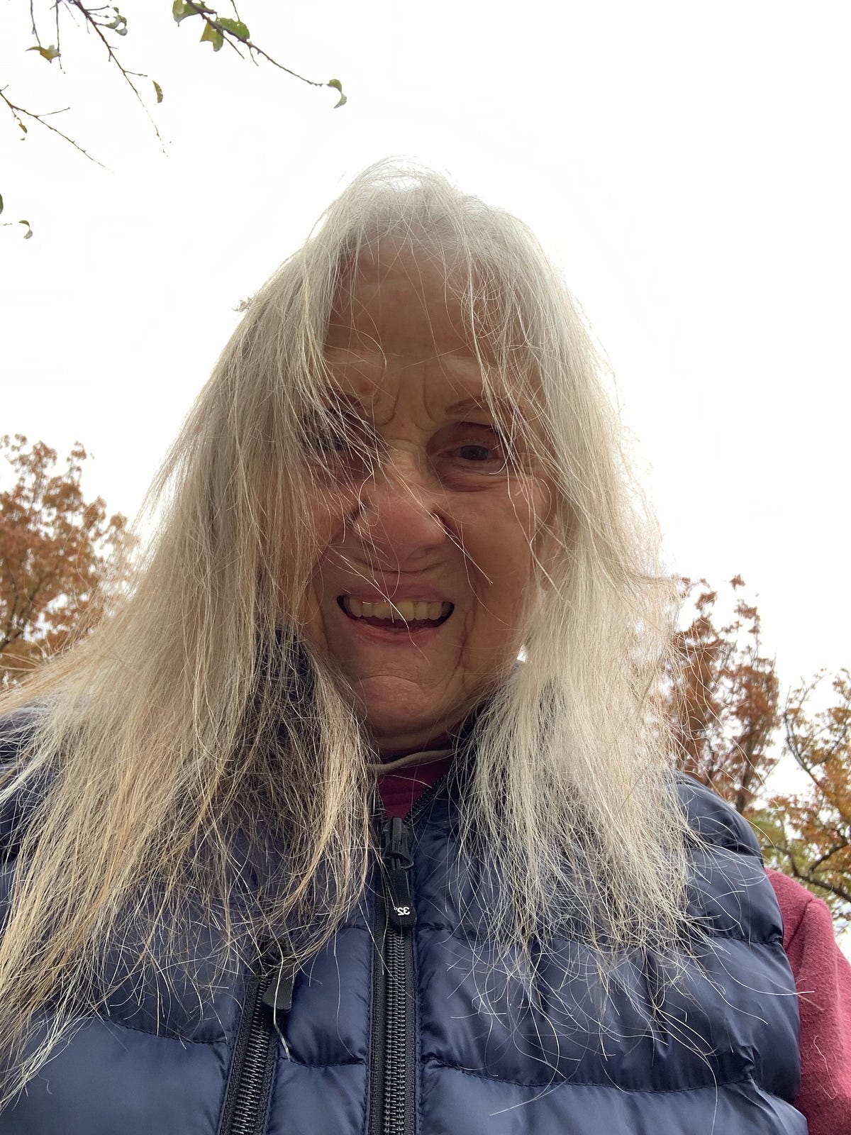A Bit Of A Bio. TL;DR | by Lynn Dorman, Ph.D.; J.D. | Medium