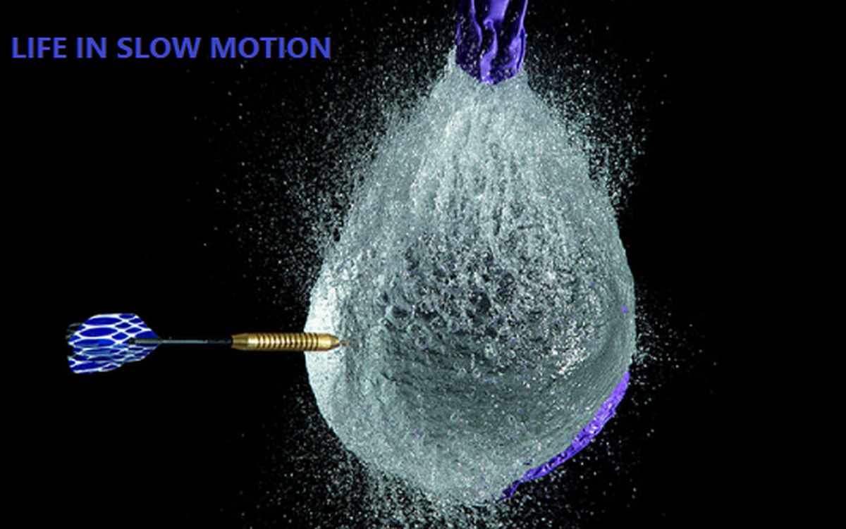 “Life in Slo-Mo: Unveiling the Unseen Wonders When We Take It Slow ...