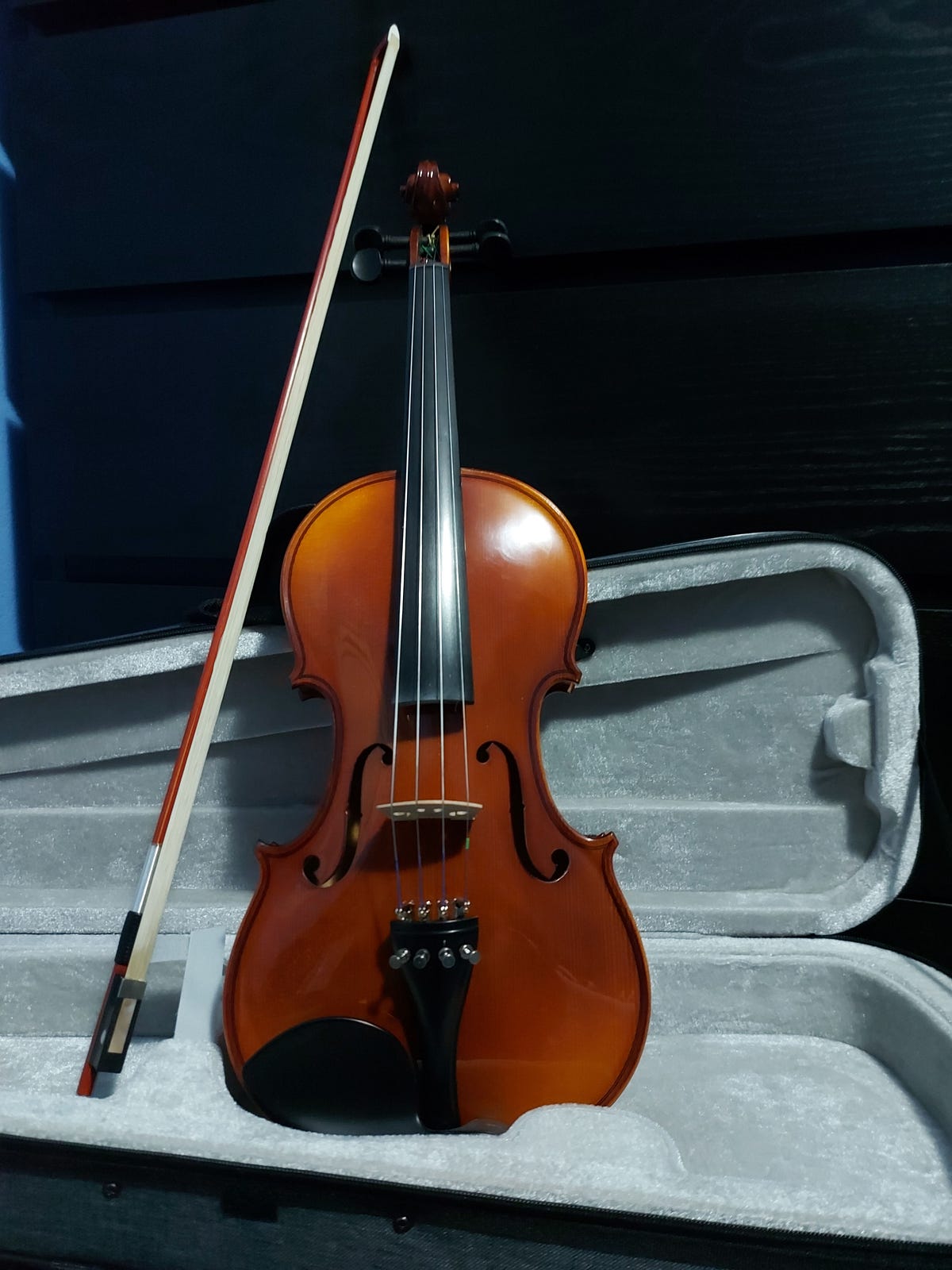 🎻 After 10 Years Away, I Started Playing Violin Again — and Now I Share ...
