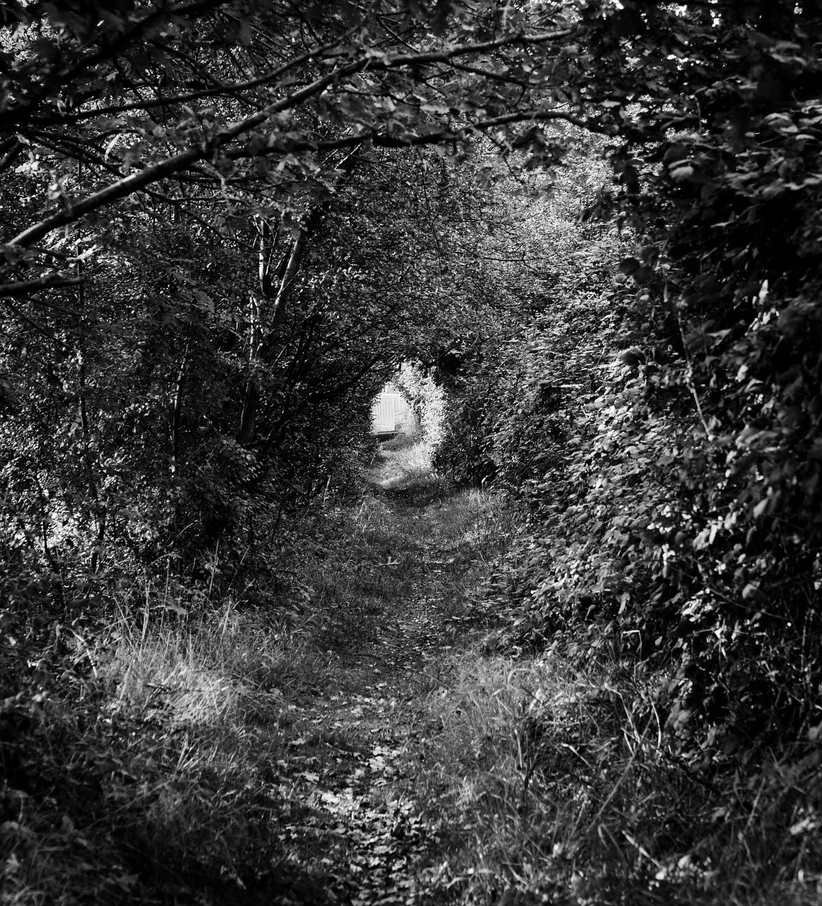 Task.Wait(-1). So after a bad nights sleep and an… | by Developing Daddy | Medium