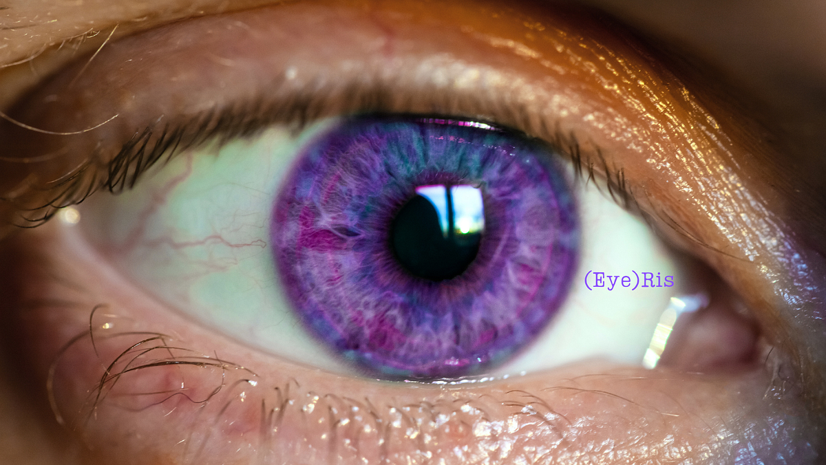 (Eye)Ris. A Poem of Adoration | by Agent Ranch Hand (Ranch) | Growl Publication | Sep, 2023 | Medium