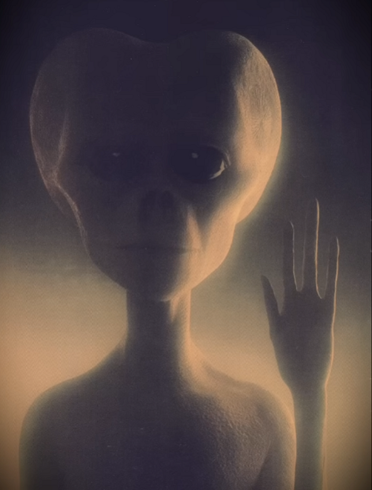The Amoco Alien Photograph. It was November 21st, 1989, when an… | by ...