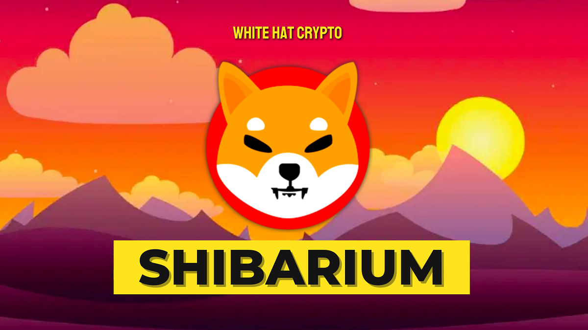 Shibarium Metaverse is almost here, but is it worth it?! | by White Hat ...