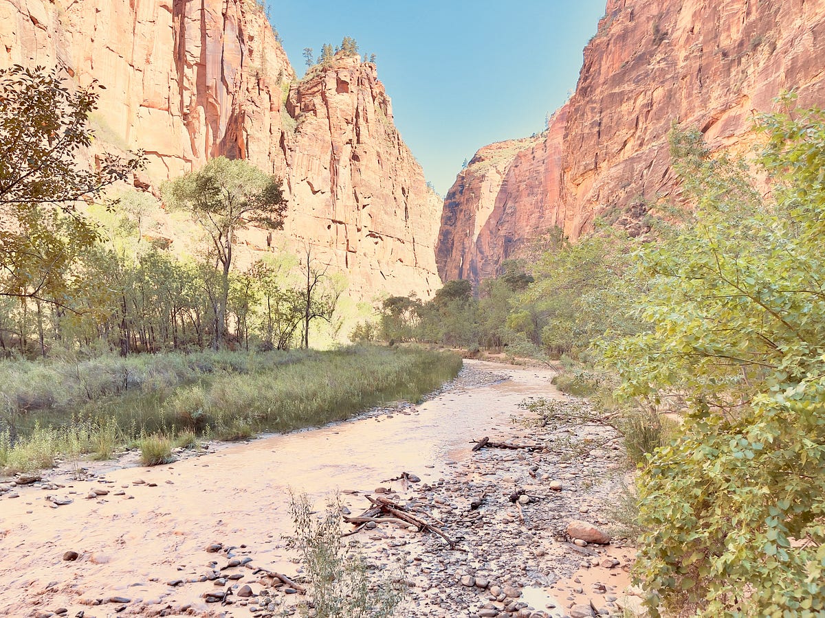 Why Rolling In The Dirt Is Good For Your Soul | by Thomas Ott ...