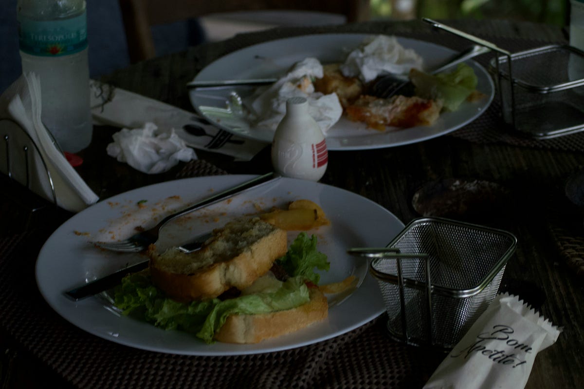 The Global Food Paradox: Why We Waste While Others Starve | by Daniel G ...