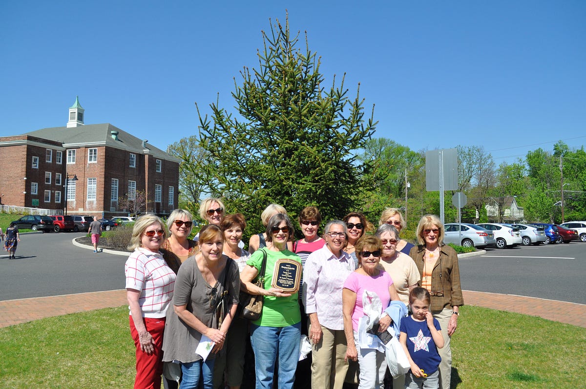 Branching out in the community: Tree committee plants tree outside ...