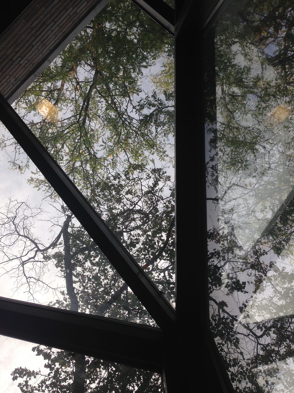 Entry 1: Timeline. It’s a sunny winter afternoon; we are… | by Dipti ...