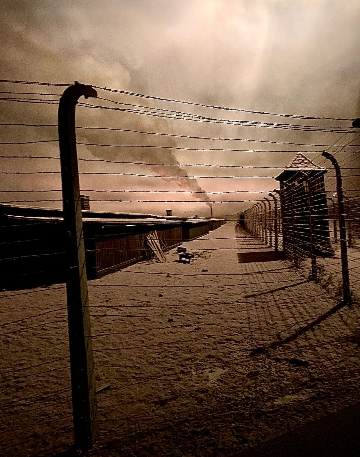 Where Freedom Never Existed. Inside fences of barbed-wire | by Mark ...