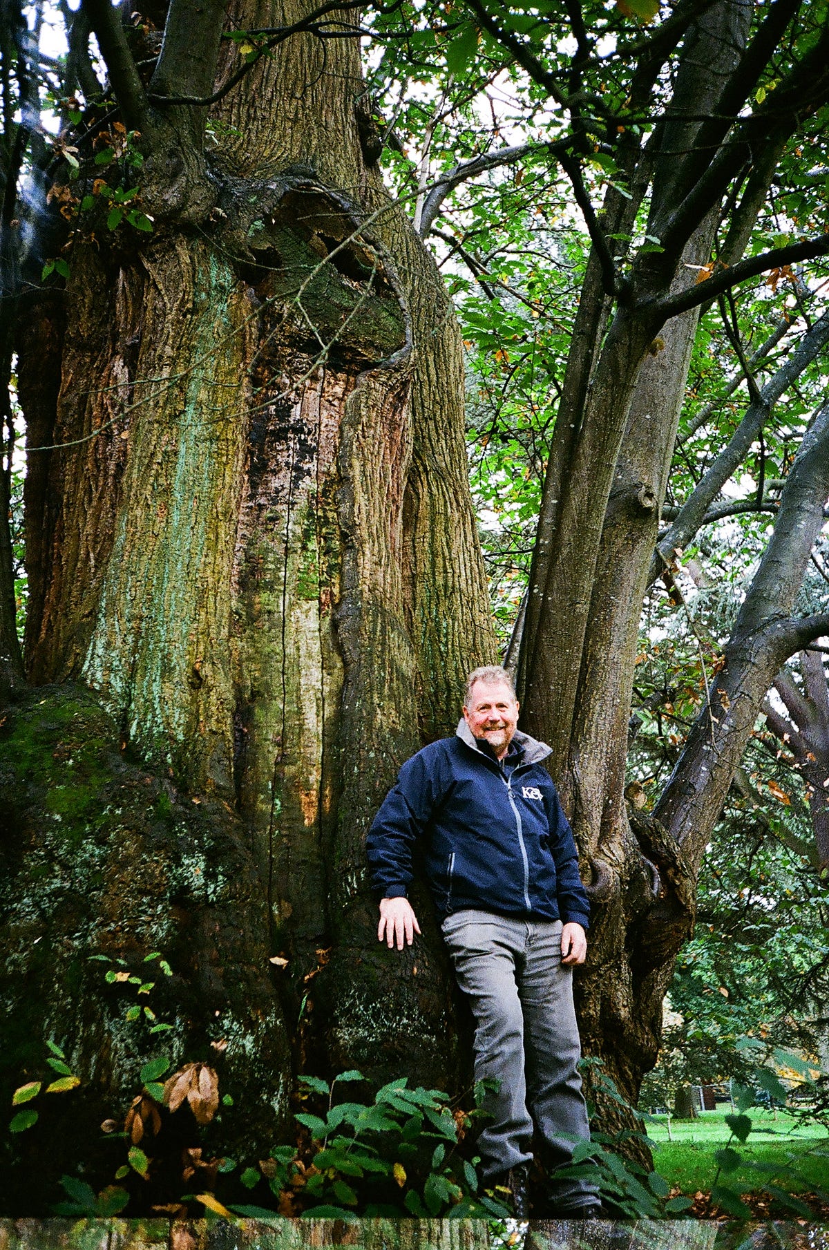 Remarkable trees: interview with Tony Kirkham –Kew Gardens’ head of ...