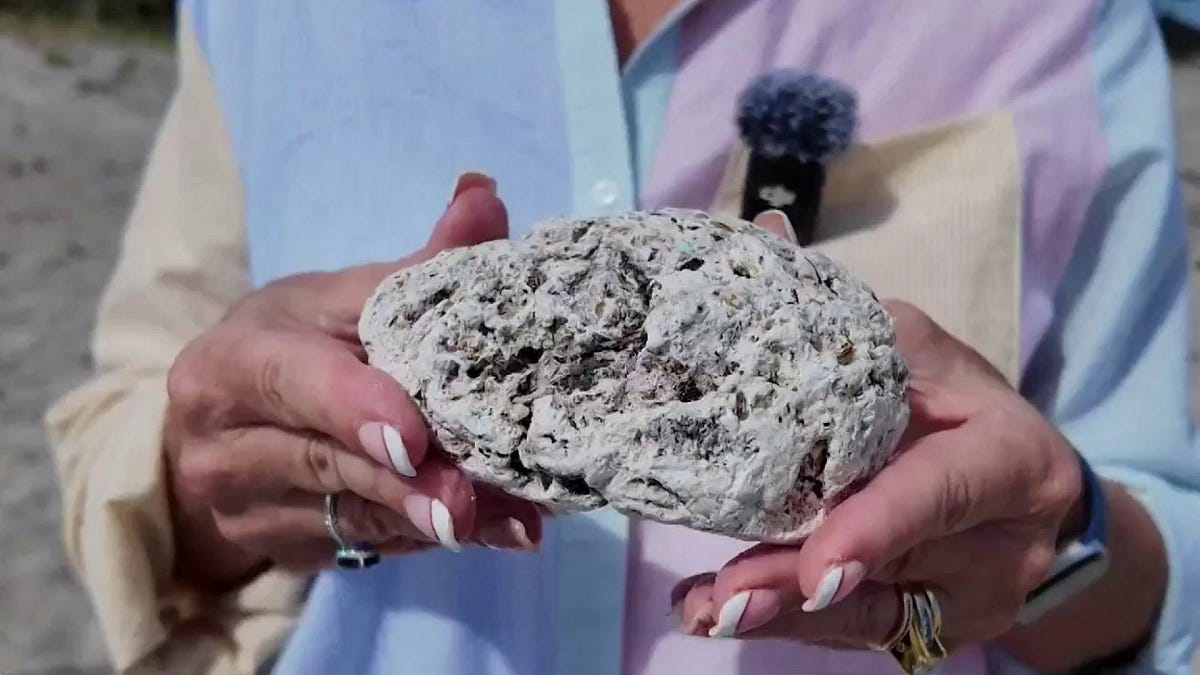 The Journey of Ambergris: From Sperm Whales to Perfume Bottle | by ...