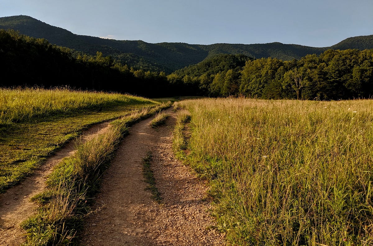 Marking the Milestones: My Dad Died Three Years Ago Today | by Teja Ray ...