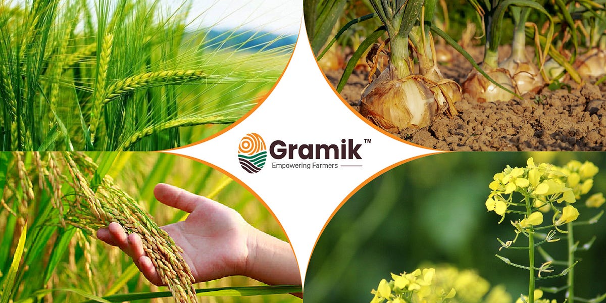Gramik: Your One-Stop Agri Seed Online Buying Destination | by Gramik ...