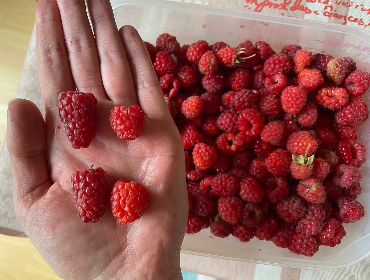 Meet the Raspberry’s Scottish Cousin | Sharing Food