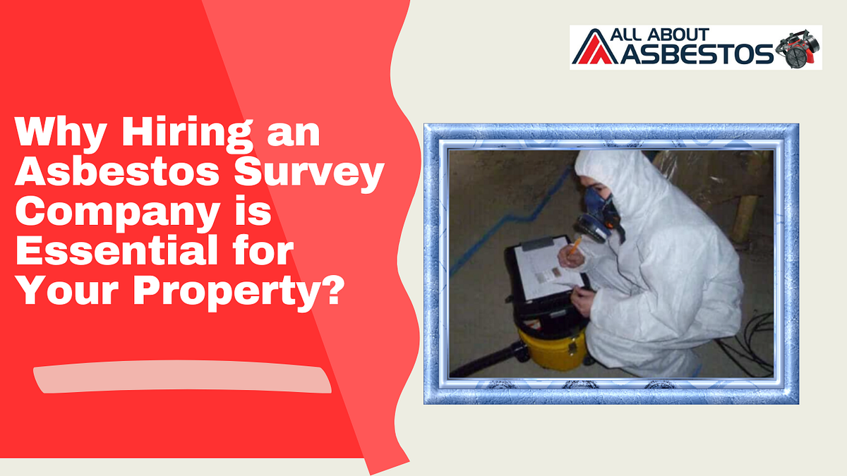 Why Hiring an Asbestos Survey Company is Essential for Your Property ...