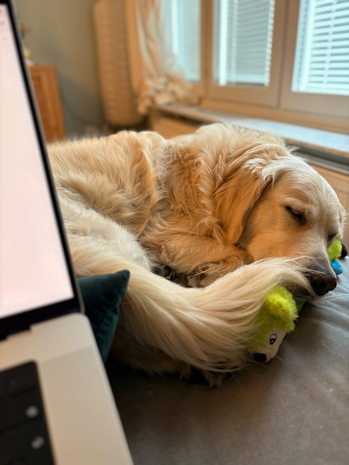 Observability in CI/CD — using ElasticSearch + GitHub to get real ...