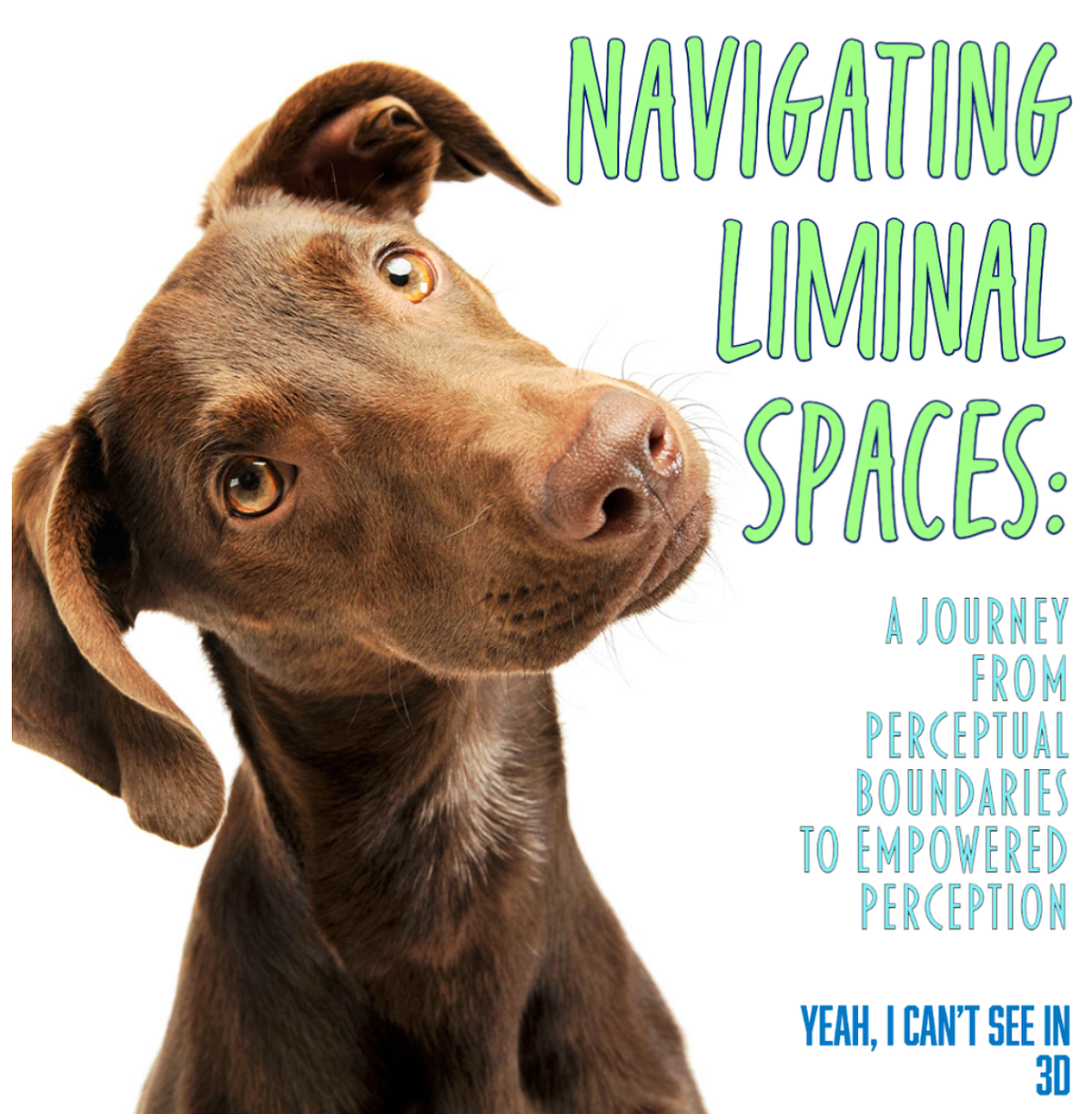 Navigating Liminal Spaces: A Journey from Perceptual Boundaries to ...