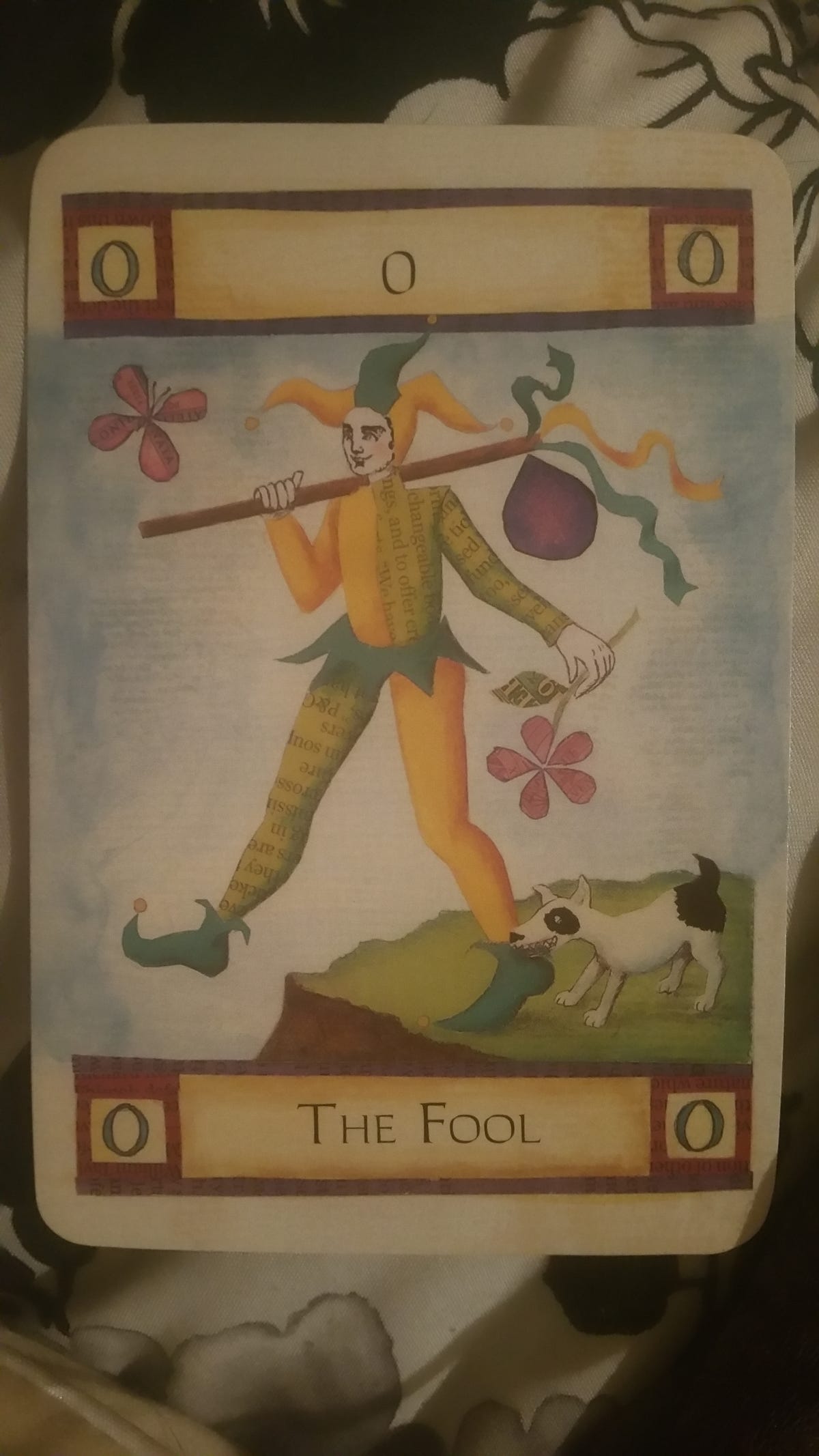 Untitled | by Stephanie Shipman | Medium