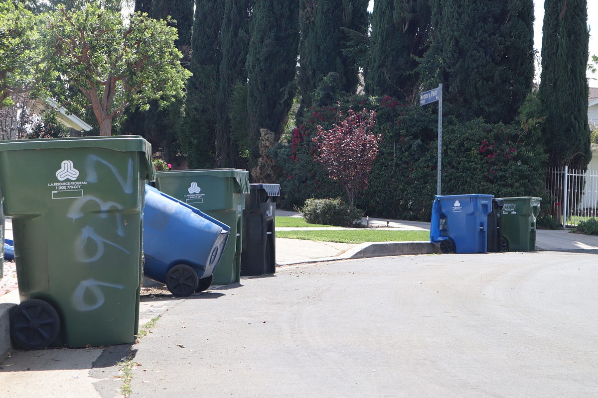 Eco-shaming: What it is and why it doesn’t work | by Damaris Galeano ...