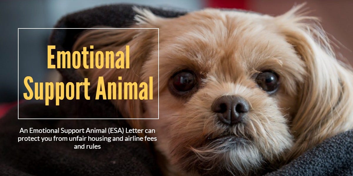 Emotional Support Animal Letter. If you want to register your pet as an ...