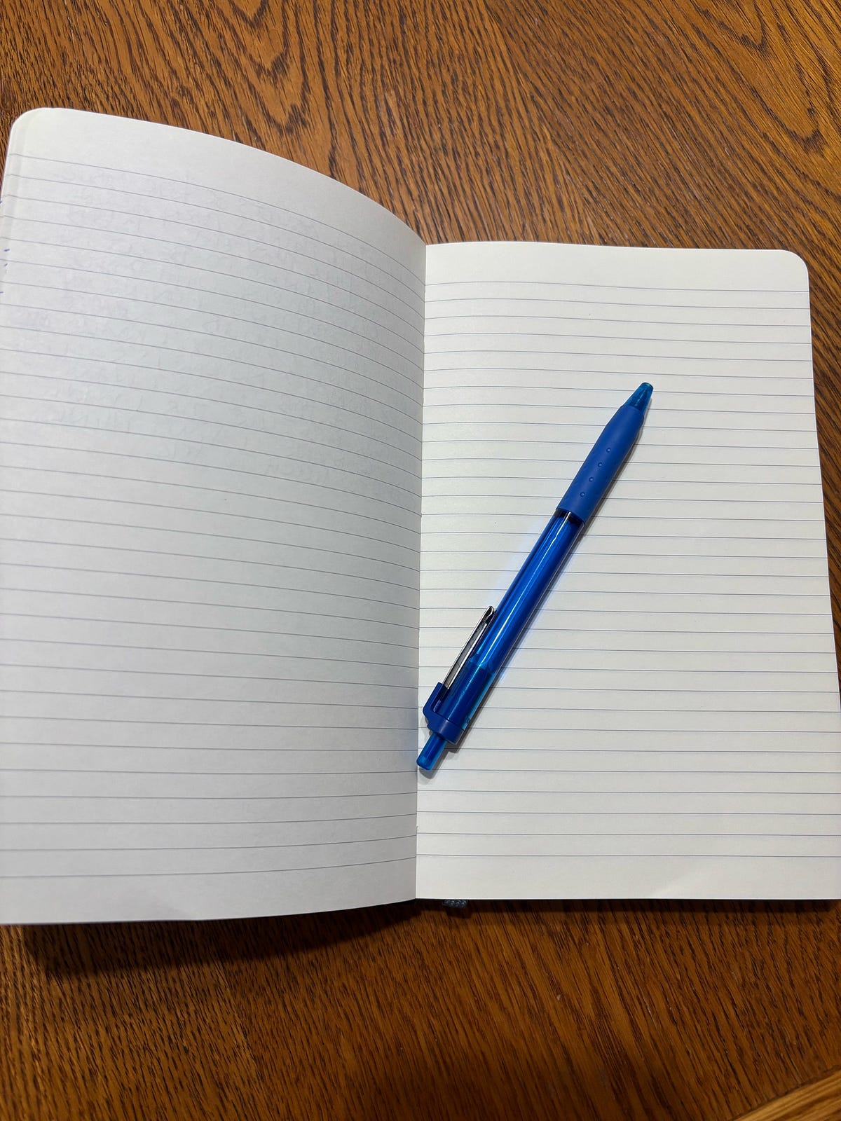 Diary of a Struggling Teacher. February 8, 2025 Entry #2 | by JC Elizabeth | About Me Stories ...