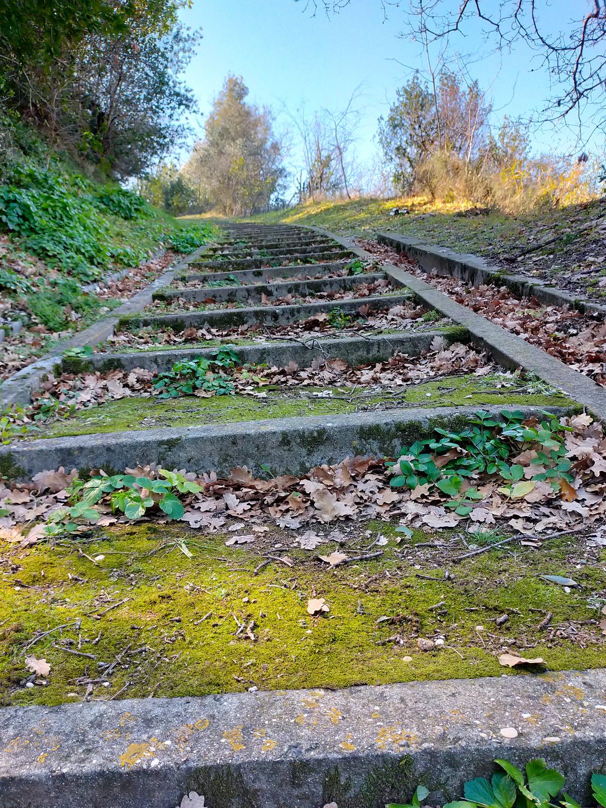 The stairway of the elves. Each step is a prayer | by Jonah Lightwhale ...