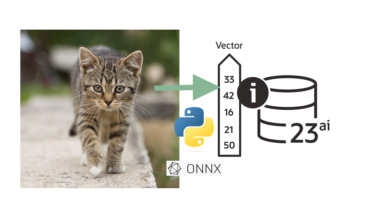 Fun with Vectors, Python, and Images in Oracle 23ai | by Francisco ...