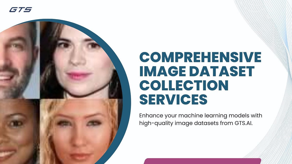 The Ultimate Guide to Image Classification Datasets for AI Development ...