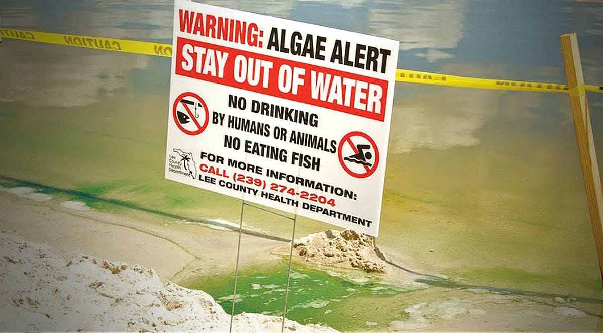 Florida’s Water Issues: Time for Talk is Over | by Rob Moher | Straight ...