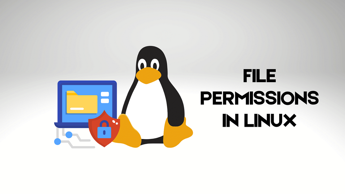File Permissions in Linux: A Beginner’s Guide | by Anil Raj Rimal | Jun ...