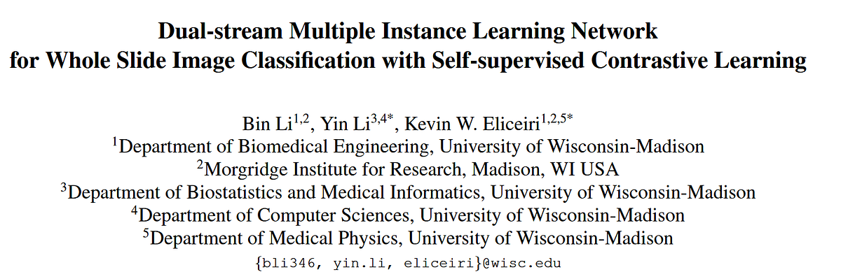 Dual-stream Multiple Instance Learning Network for Whole Slide Image Classification with Self ...