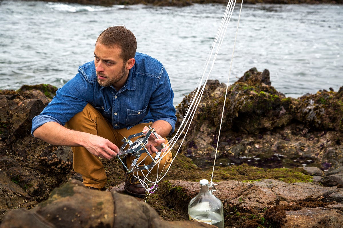 Bringing Conservation Technology to Life | by Shah Selbe | Conservify ...