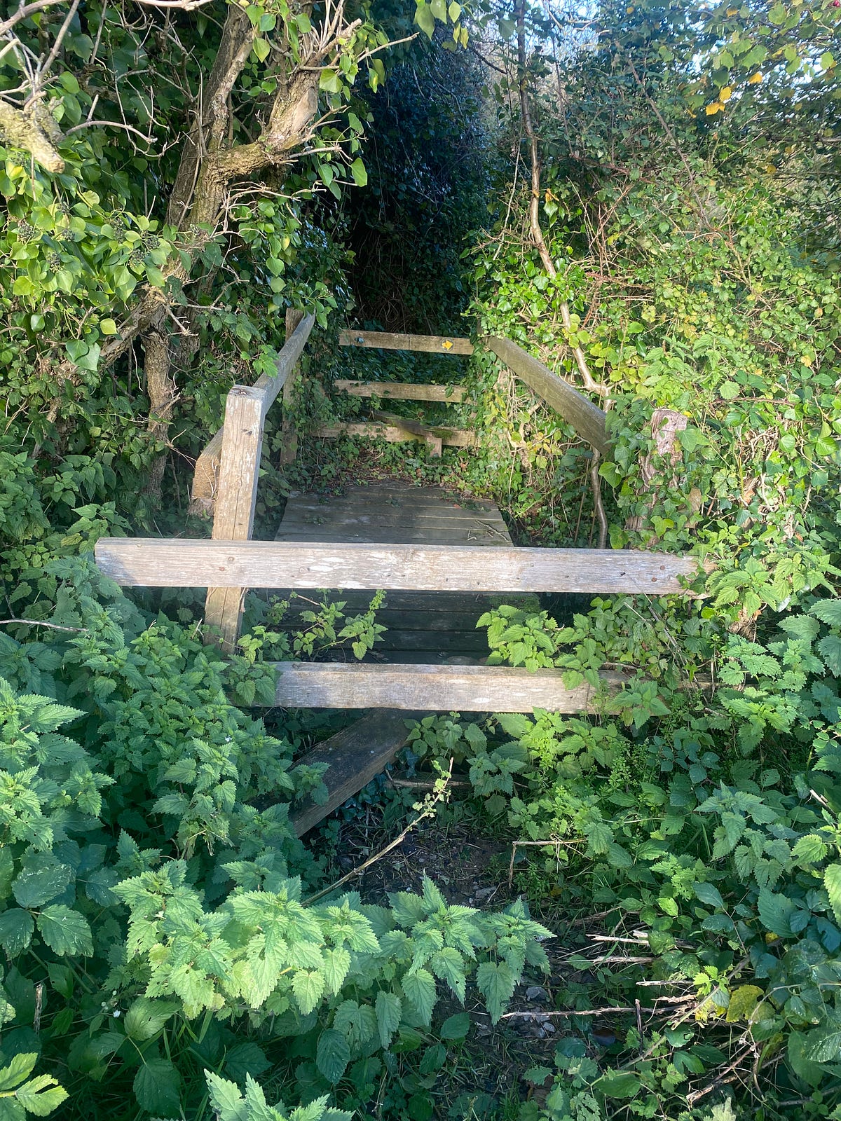 I Want to Believe in The Den. It’s so close to home; it’s so close to ...