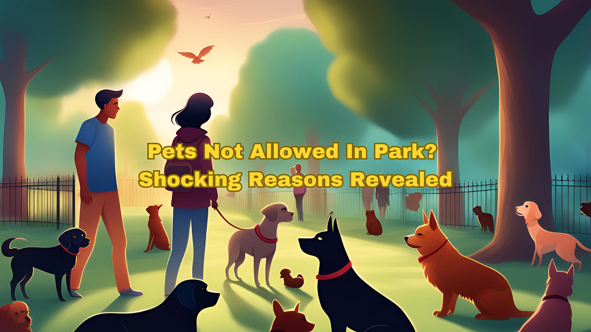 Pets Not Allowed In Park? Shocking Reasons Revealed | by Pawlitan ...