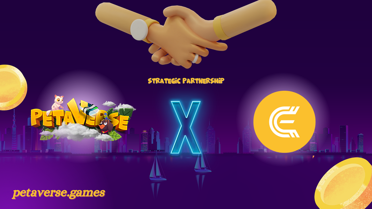 PETAVERSE X EFUN PARTNERSHIP. Petaverse is pleased to announce a… | by ...