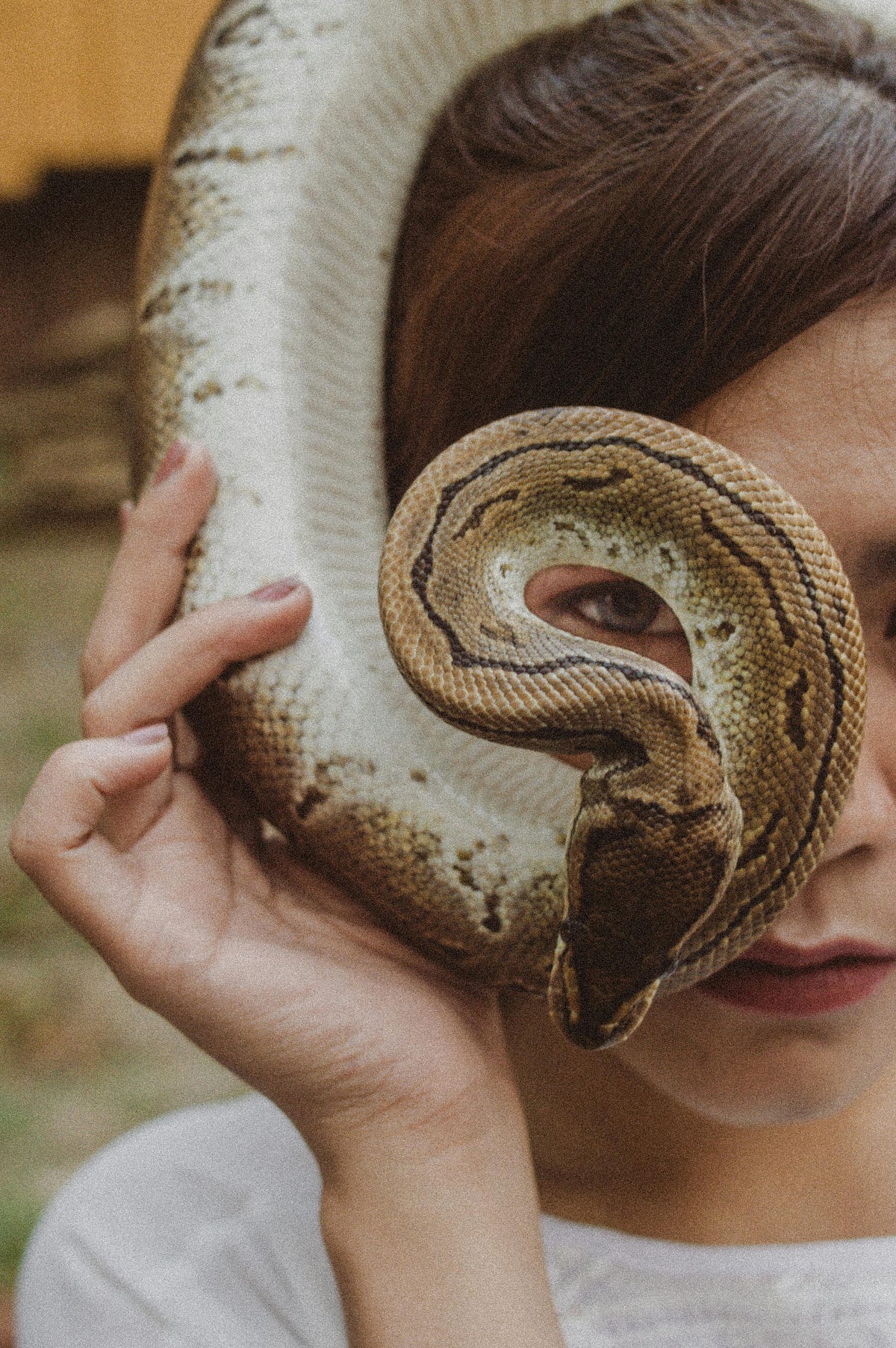 Emotions Are Magic and Words Are Spells | by Jenny Dobson | Medium
