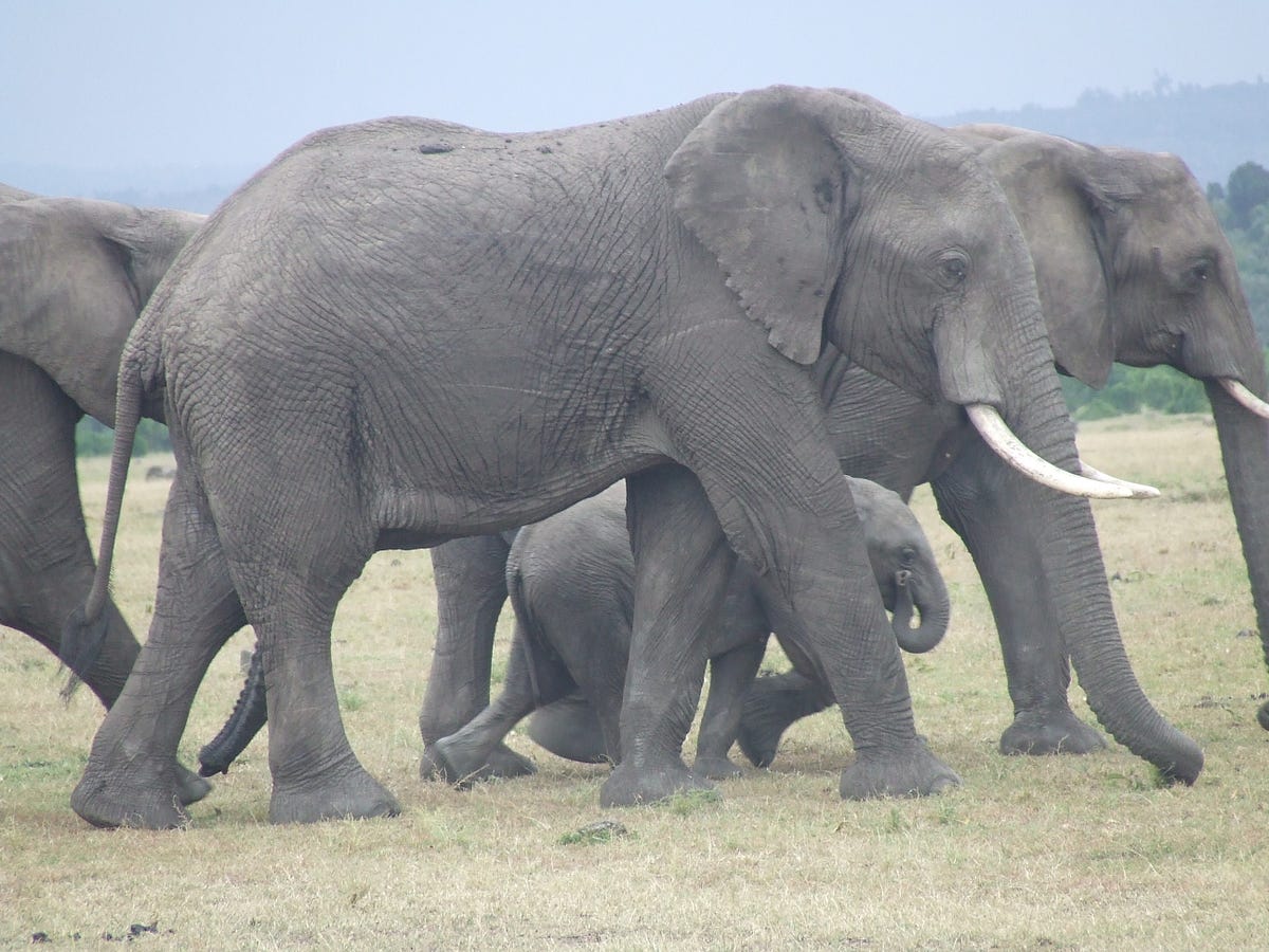 THE JOY OF FLEX — How Digital Mums rebooted the skills and confidence ...