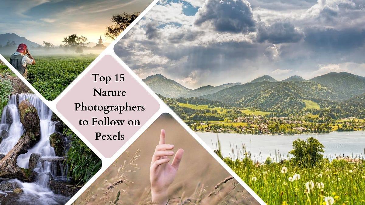 Top 15 Nature Photographers to Follow on Pexels | by nathanielslens ...