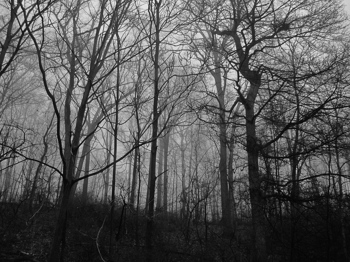 The Real Monster in the Woods. Humans are the scariest thing in nature ...